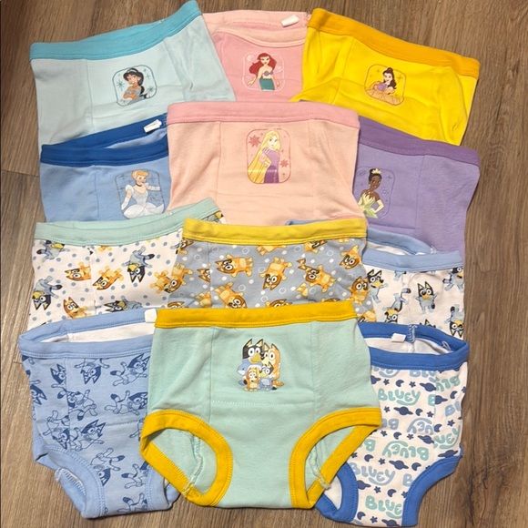 Disney | Accessories | Disney Princess And Bluey Toddler Training ...